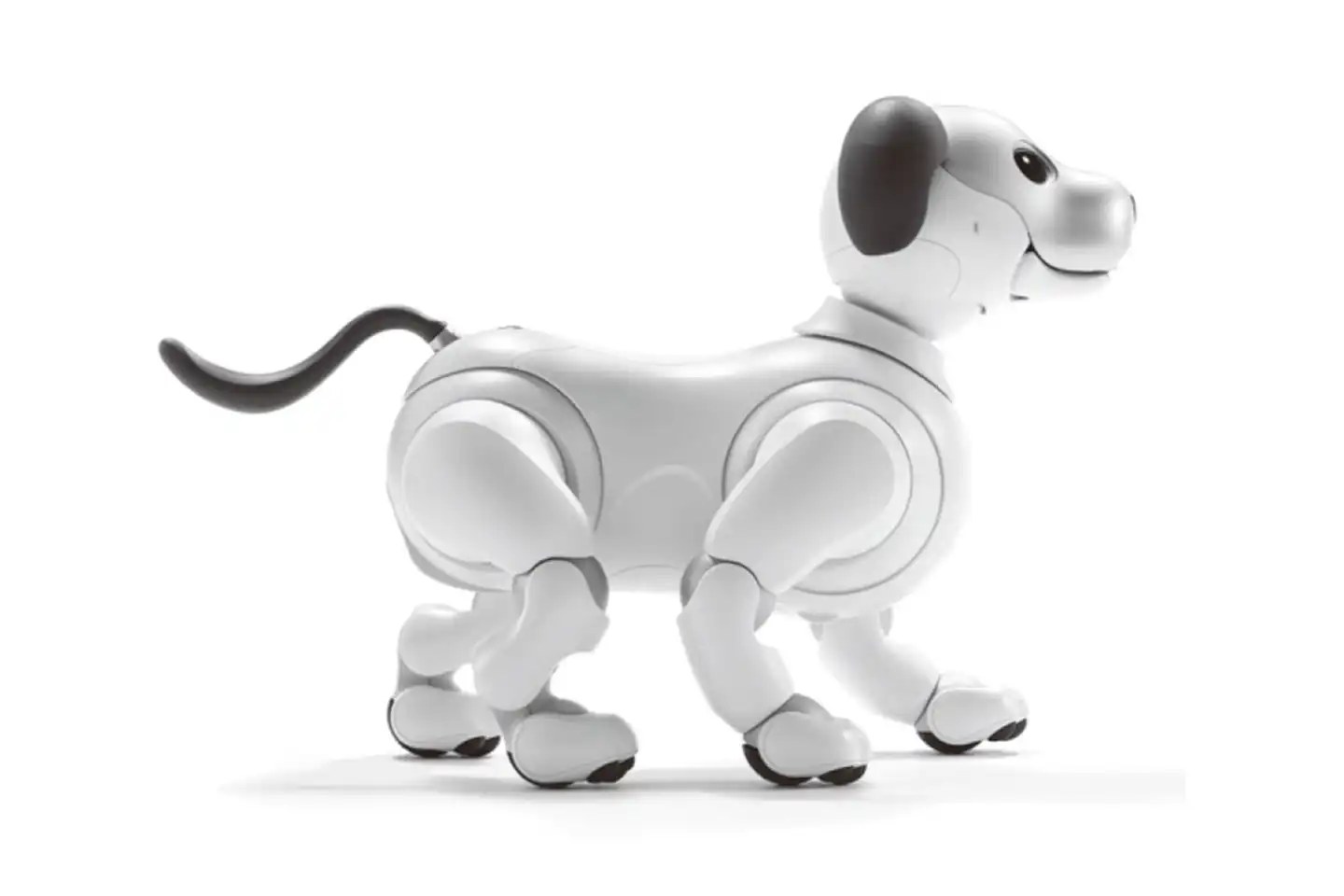 aibo Entertainment Robot
